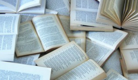 "Saga" de Sophia de Mello Breyner Andresen :: Leituras à Solta